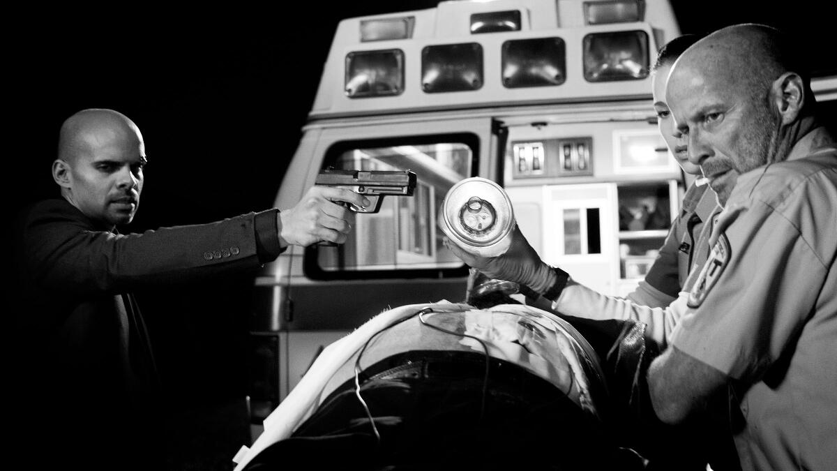 Michael Rich - Director